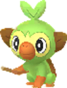 Grookey Pokemon GO Shiny Rates, Quests and Details | PoryPro