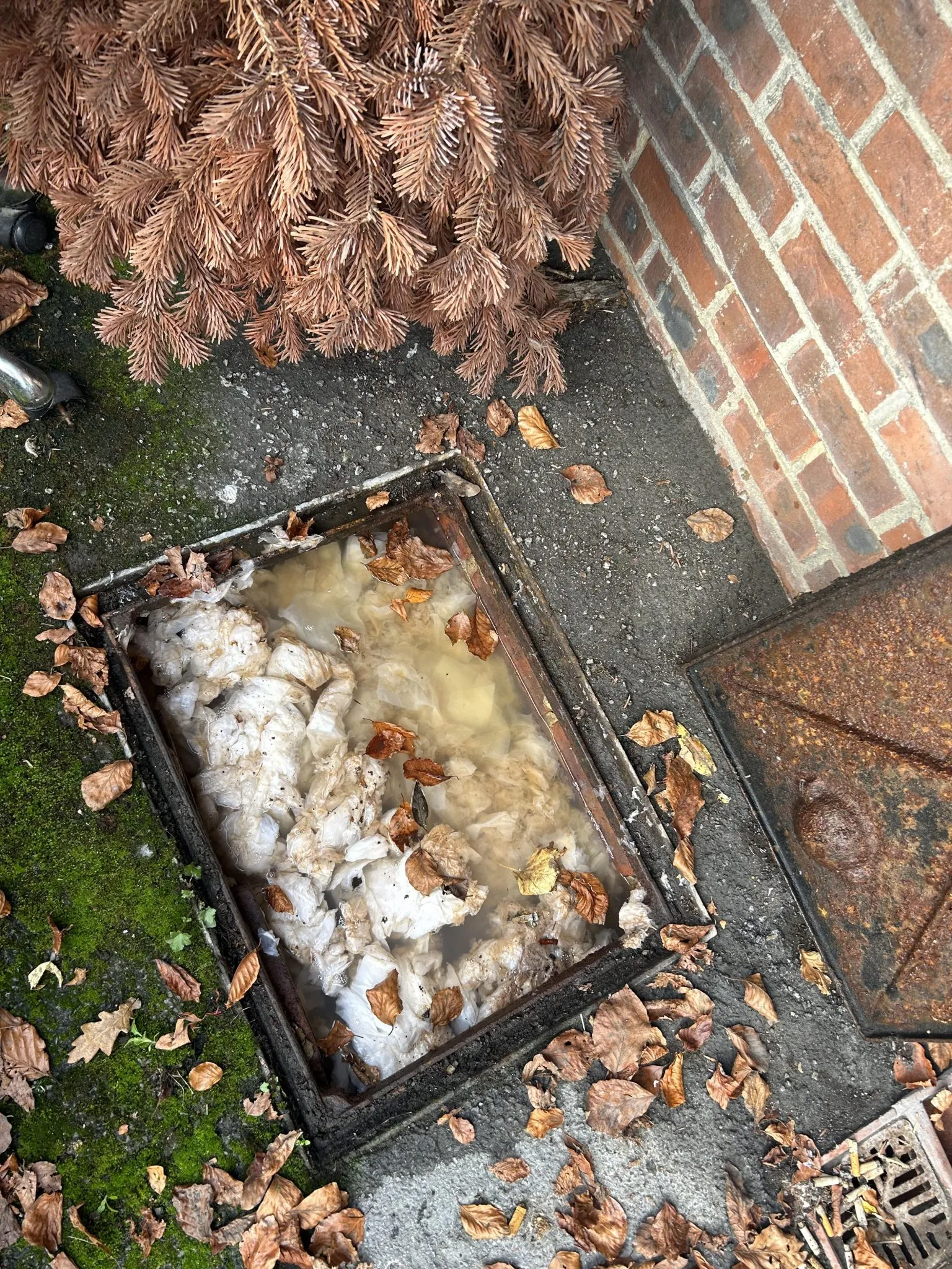 Emergency Blocked Drain Repair New Wortley, Leeds