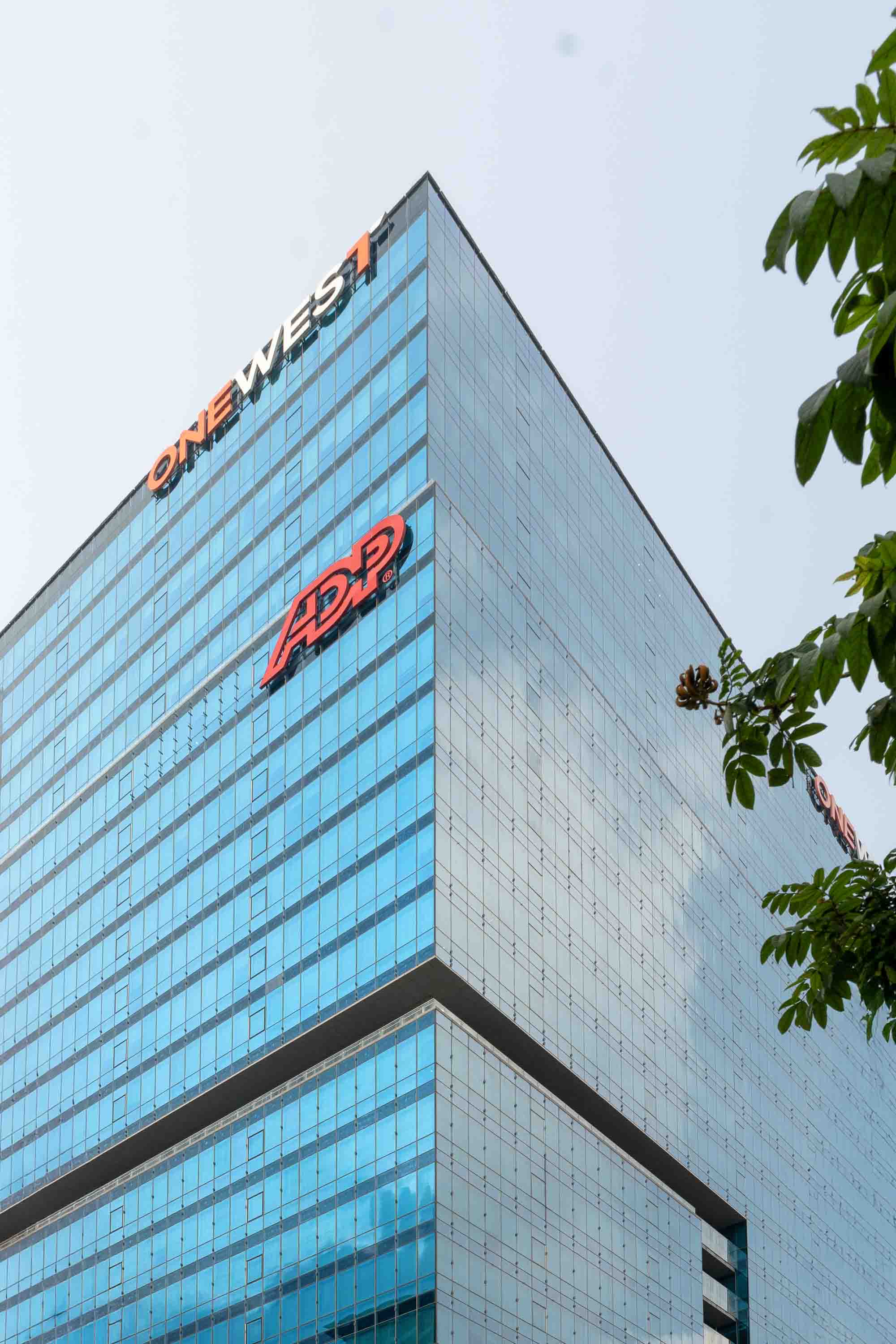 Terminus Group